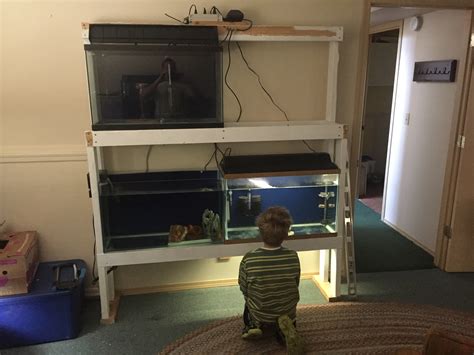 Diy Aquarium Rack Cichlid Fish Forum