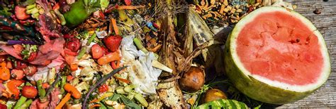 What Is The Need For Composting Garden Waste TOGO Composter