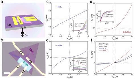 A Schematic Diagram Of Fets Based On The Snsemos2 Heterostructure