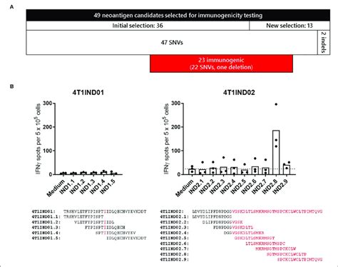 A Numerical Overview Of Selected Neoantigen Candidates For Download Scientific Diagram