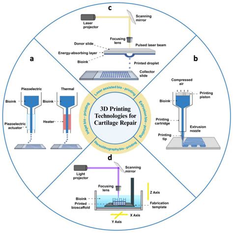 Hydrogel Based 3d Bioprinting Technology For Articular Cartilage Regenerative Engineering Pmc
