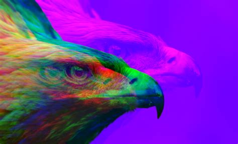 How Can I Learn Physics Using Chatgpt 4 By Apes Ascendance Science Compass Medium