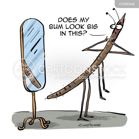 Phasmatodea Cartoons And Comics Funny Pictures From Cartoonstock
