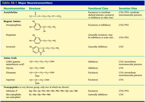 Major Neurotransmitters Physiology Pinterest