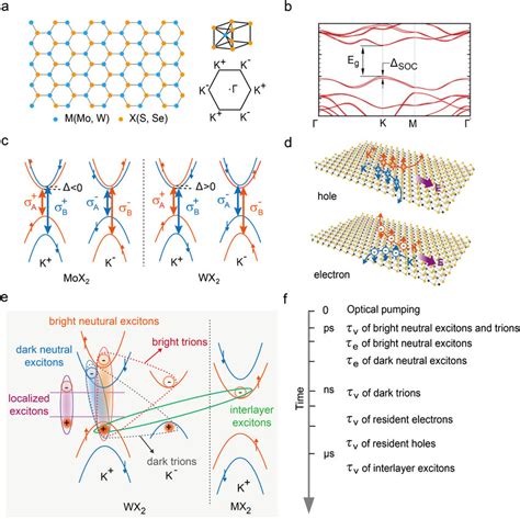 A Crystal Structure Of Ml Mx2 With Hexagonal Lattice B The