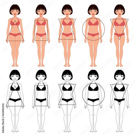 Set Of Five Different Types Of Female Body Shapes Different Types Of Beautiful Woman Stock