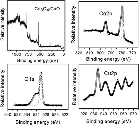 E Xps Spectrum A Wide Scan Survey Spectrum Of Co 3 O 4 Ecuo B Co Download Scientific
