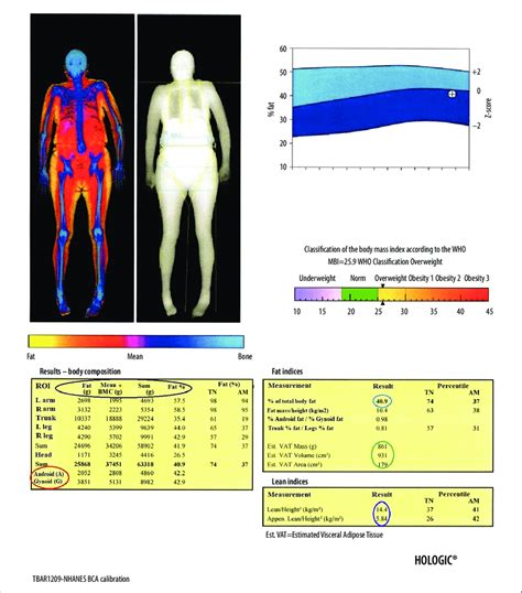 Result Of The Body Composition Assessment Soft Tissues The Table On Download Scientific