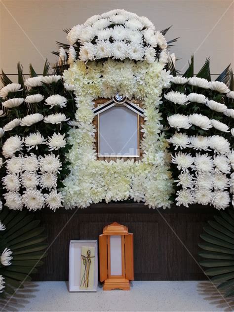 장례식 장례식장 애도 추모 국화 사진 이미지 일러스트 캘리그라피 레스타작가