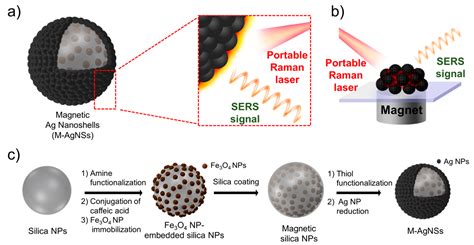Nanomaterials Free Full Text Highly Sensitive Magnetic Sers Dual