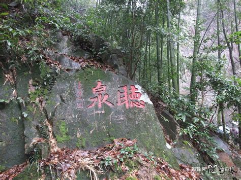 听泉 听泉的寓意是什么 听泉东山魁夷 大山谷图库