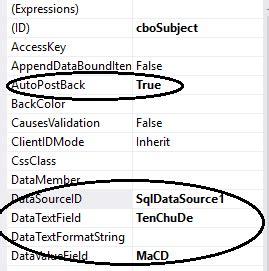 Ng N Ng Asp Net Sql Data Source