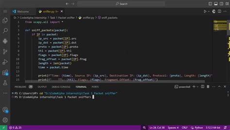Video My First Task As A Cyber Security Intern At Codealpha Ayesha