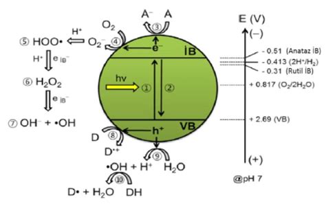 3 1 Schematic Representation Of Reactions Which Occur In Tio2 Photo Download Scientific Diagram