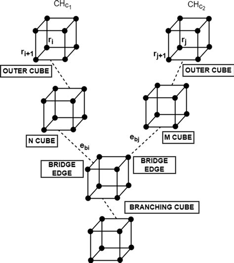 the distinct chains of cubes through branching cube download scientific diagram