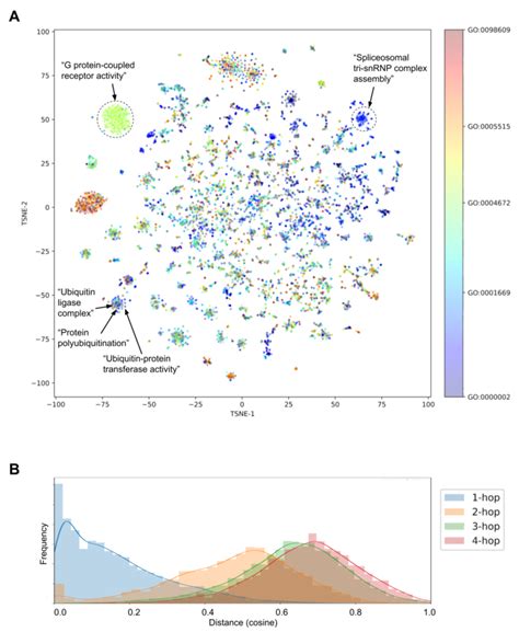 visualization of unsupervised gene embeddings a t sne projections of download scientific