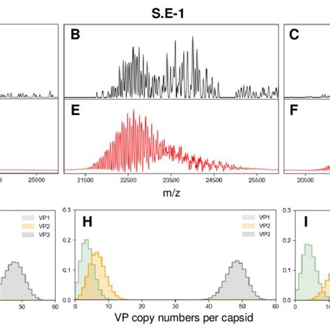 Comparison Of Experimental Data And Spectral Simulations Of S E 0 Download Scientific Diagram