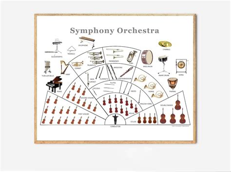 Symphony Orchestra Layout