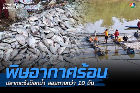 ข่าวเด็กแแว้นจังหวัด อ่างทองกว่า 300 คน เบิ้ลเครื่องไว้อาลัยเพื่อนครั้งสุดท้าย