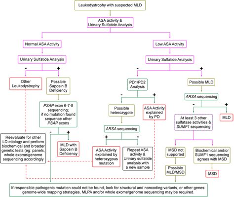 Diagnostic Flowchart For Biochemical And Genetic Tests Of Individuals Download Scientific