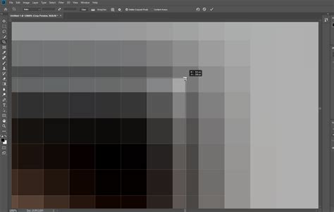 Solved How Can I Change The Crop Tool To Crop An Exact Pi Adobe Community
