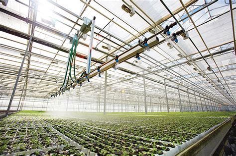 The Right Irrigation System Autonomous Growing In Ontario