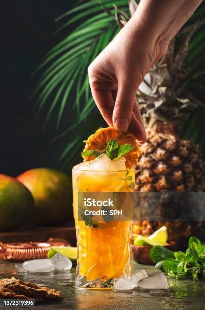 보드카 파인애플 주스 망고 얼음여름 칵테일 긴 음료 또는 차가운 목테일 바텐더는 장식으로 칵테일을 장식합니다 야자수 잎을 가진 열대 배경 건강관리와 의술에 대한 스톡 사진