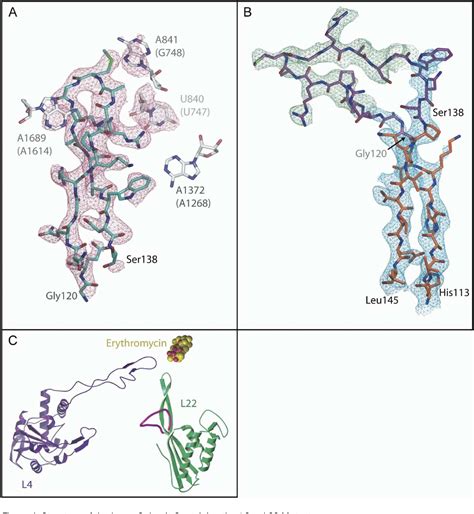Streptogramins Semantic Scholar