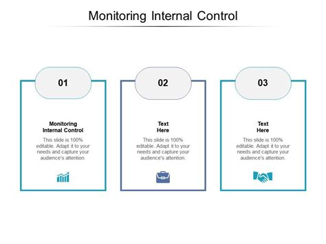 Monitoring Internal Control Ppt Powerpoint Presentation Slides Graphics Template Cpb