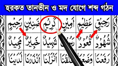 হরকত তানভীন এবং মদের হরফ যোগে শব্দ গঠন শুদ্ধ করে শিখুন কায়দা শিক্ষা কোর্স Youtube