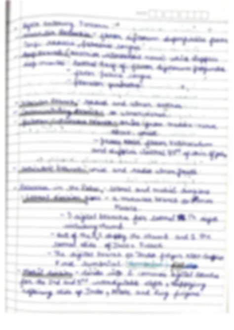 SOLUTION Median Nerve Anatomy With Its Clinical Anatomy Studypool