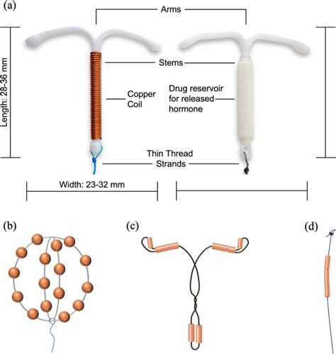 Revolutionizing Womens Health The Quest For Materials For Next