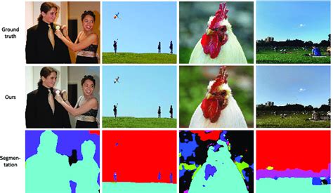 Segmentation Visualization Download Scientific Diagram