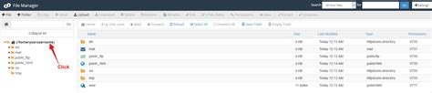 install the php version of the server monitoring agent on cpanel