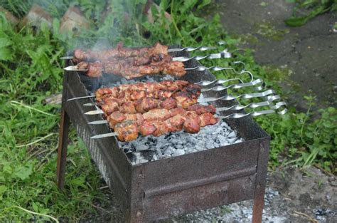 На каких дровах лучше жарить шашлык