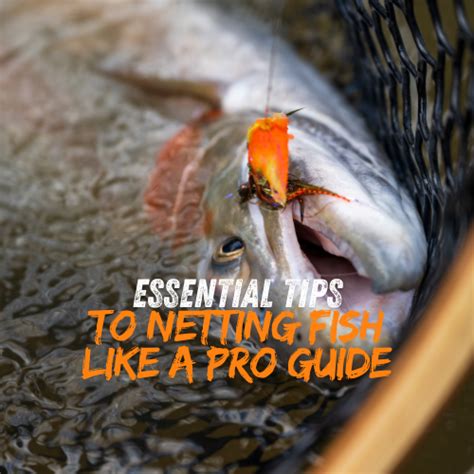 Tips To Netting Fish Like A Pro School Of Fishing