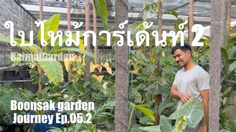 Boonsak Journey Ep05 2 ใบไหม้การ์เด้นท์โรงเรือน 2 สวนของคนรักไม้ใบและเสียงหัวเราะ ต้นไม้