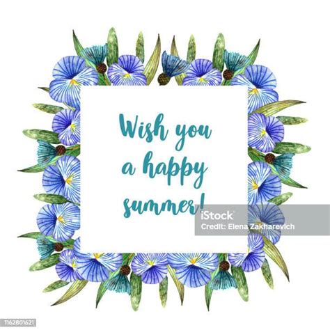 수채화 야생화 흰색 배경에 다양한 꽃에서 사각형 파란색 여름 프레임 0명에 대한 스톡 벡터 아트 및 기타 이미지 0명 고풍스런 구도 Istock