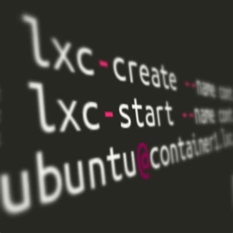 dns resolution for lxc in ubuntu 14 04