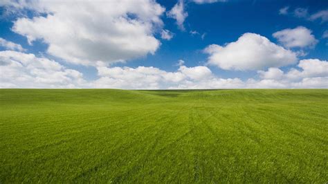 精选《风景草原草地4k壁纸》图集 壁纸网