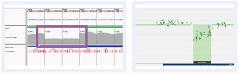 An Approach For Determination Of Cnv Using Short Read Ngs