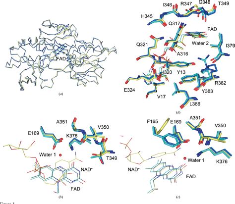 Figure 1 From Crystal Structure Of Type Ii Nadh Quinone Oxidoreductase From Caldalkalibacillus