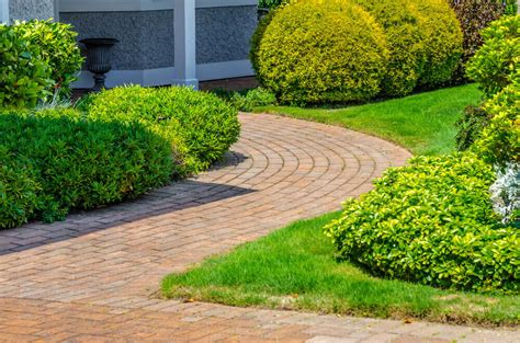 Dla Ba Pred Dom Bratislava Dla Ba Okolo Domu Polo Me