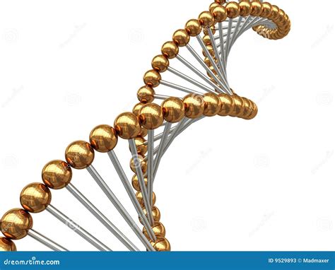 De Structuur Van Dna Stock Illustratie Illustration Of Biologie 9529893