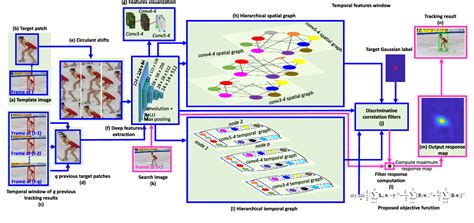Figure 1 From Hierarchical Spatiotemporal Graph Regularized