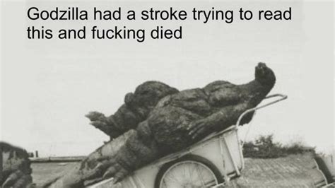 Godzilla Had A Stroke Trying To Read This And Fucking Died Video Gallery Know Your Meme