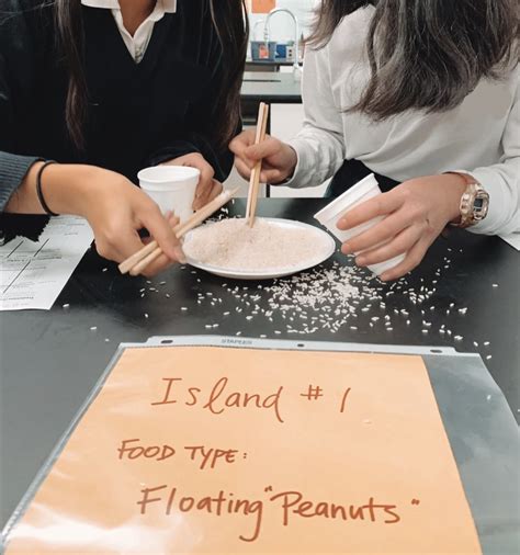 Natural Selection Lab Activity Teach To Serve