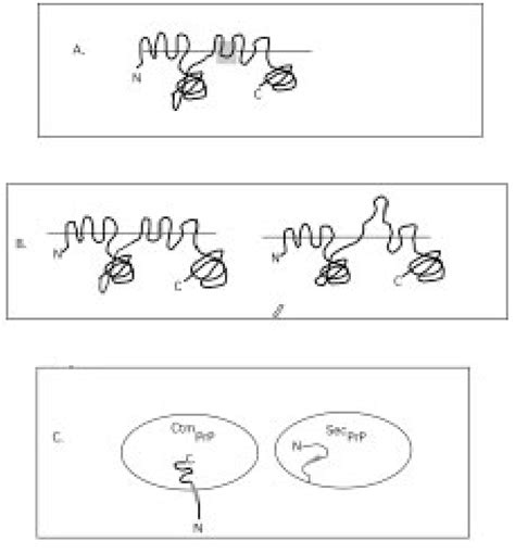 Multispanning Membrane Protein Heterogeneity Summary Of Data From