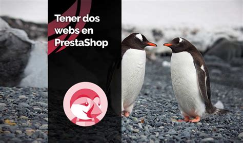 Cómo borrar la caché de PrestaShop manualmente