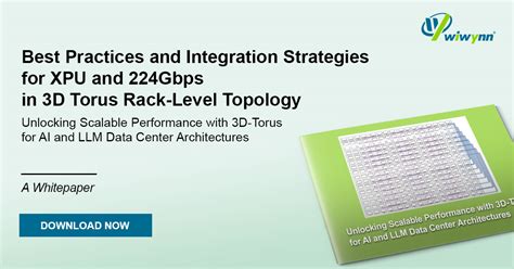 White Paper Best Practices And Integration Strategies For Xpu And 224gbps In 3d Torus Rack